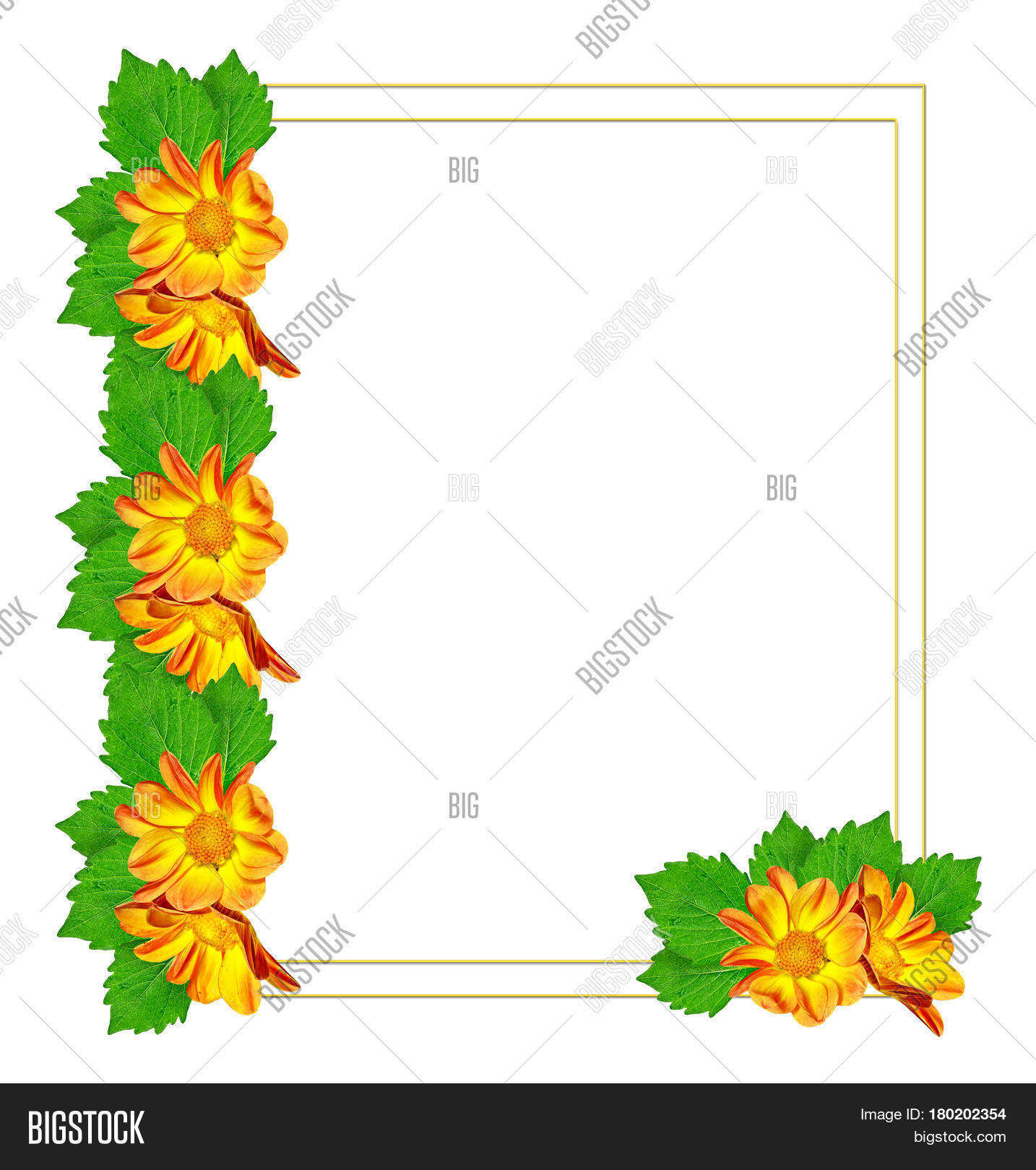 Colorful Bright Flower Image & Photo (Free Trial) | Bigstock