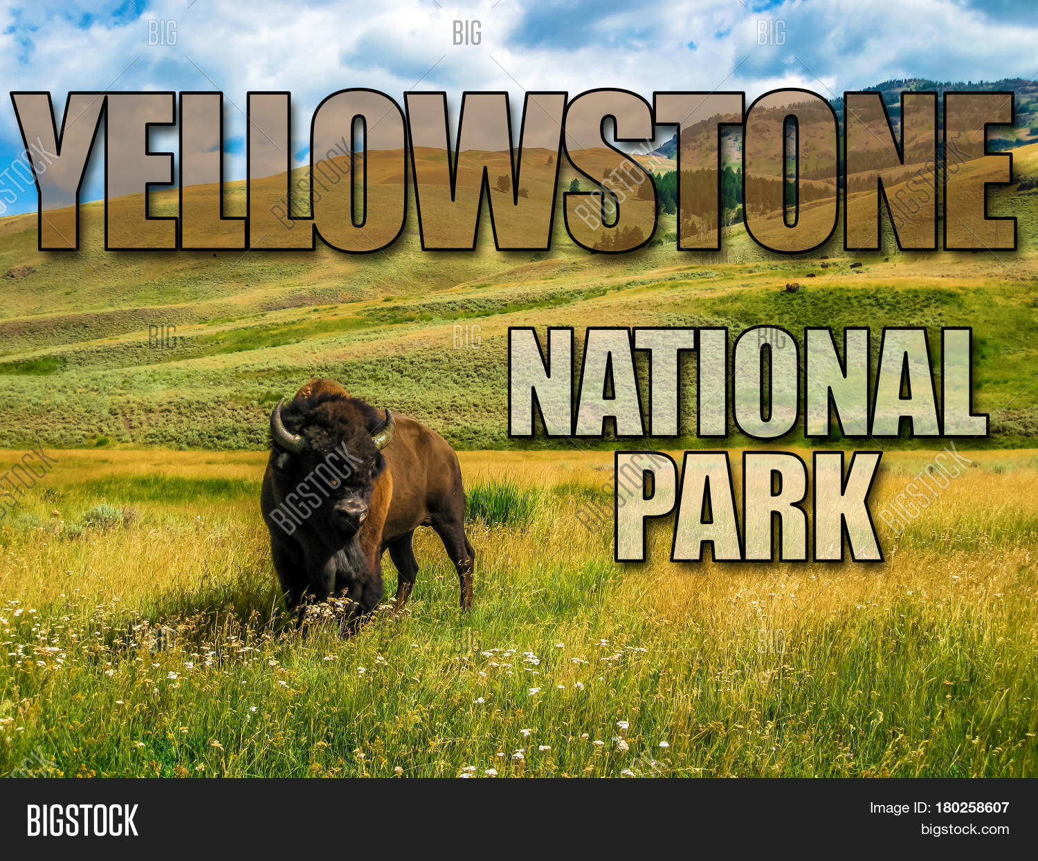 Imagen y foto One Bison Meadows (prueba gratis) | Bigstock
