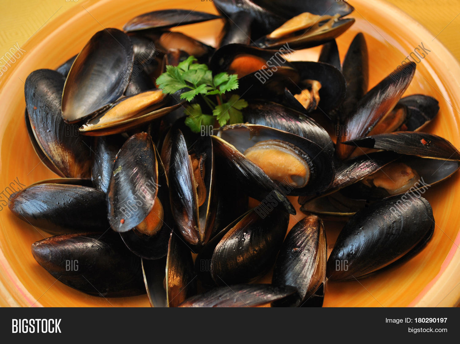 Fresh Plate Mussels Image & Photo (Free Trial) | Bigstock