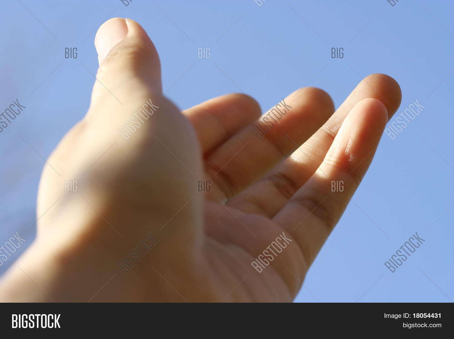 Hand Faith : Hand Image & Photo (Free Trial) | Bigstock