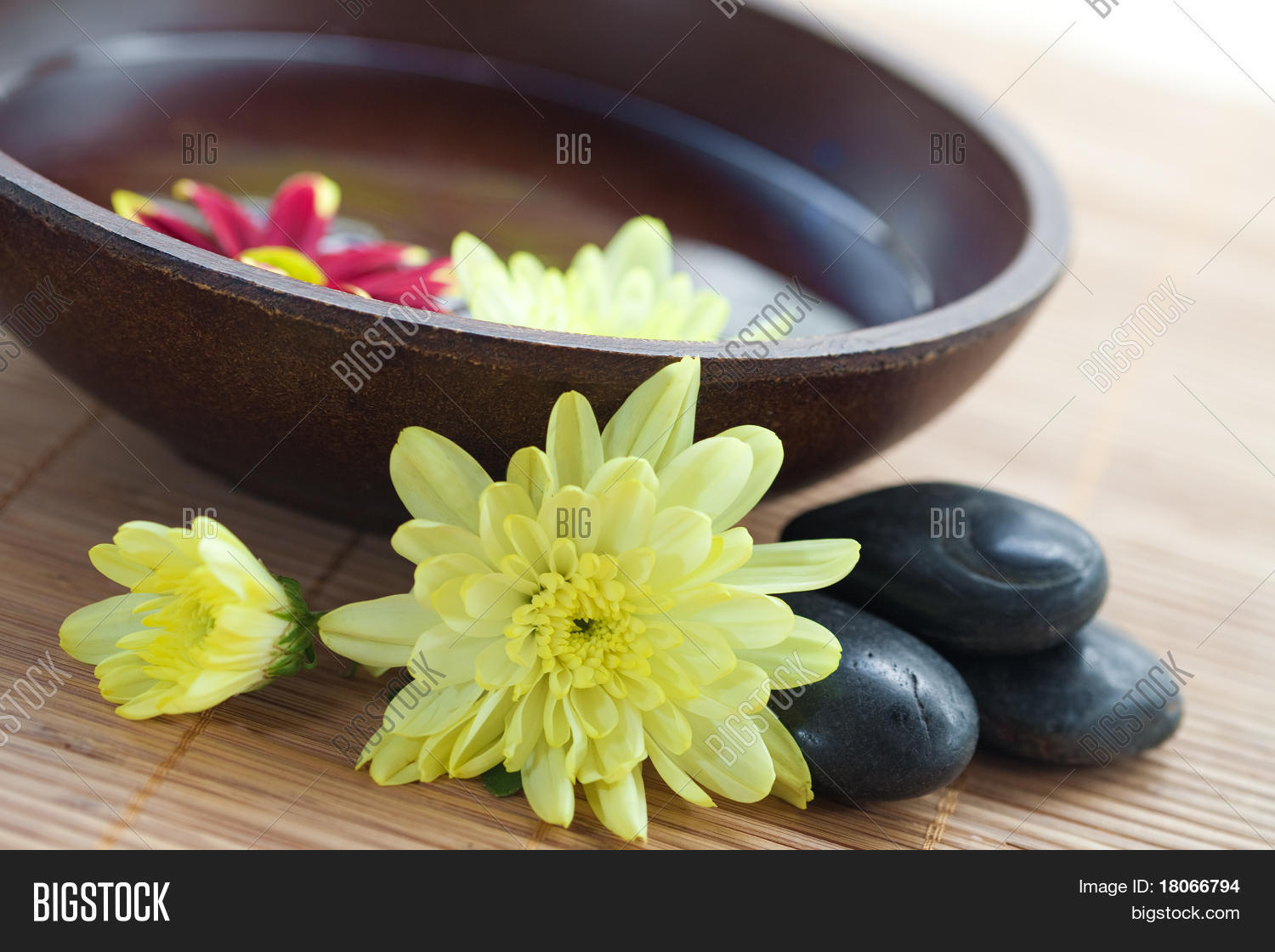 Floral Spa Setting. Image & Photo (Free Trial) | Bigstock