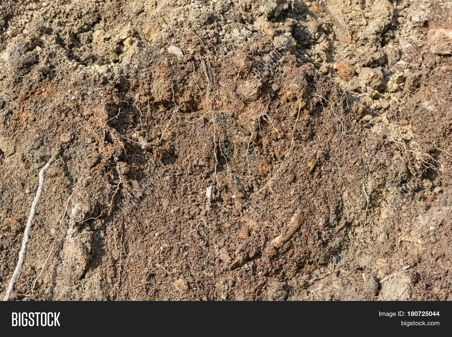 Brown Realistic Soil Image & Photo (Free Trial) | Bigstock