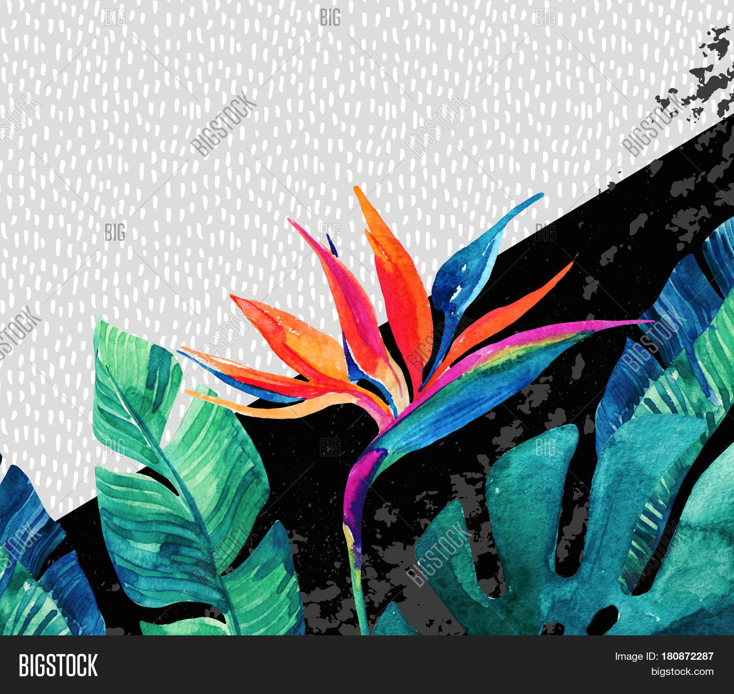Abstract Tropical Image & Photo (Free Trial) | Bigstock