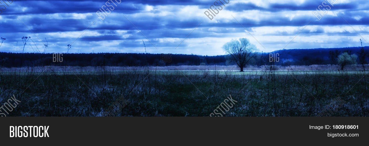 Mysterious View Meadow Image & Photo (Free Trial) | Bigstock