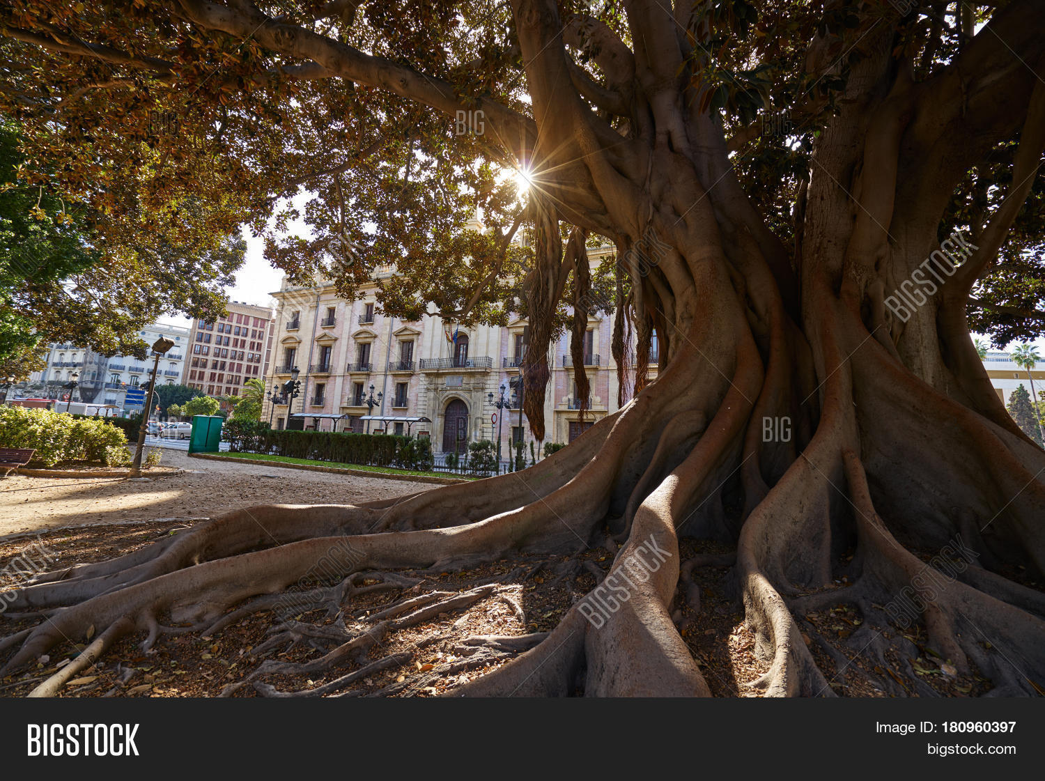 Valencia La Glorieta Image & Photo (Free Trial) | Bigstock