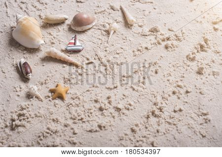 Top View Sea Shells On Image & Photo (Free Trial) | Bigstock
