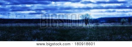 Mysterious View Meadow Image & Photo (Free Trial) | Bigstock
