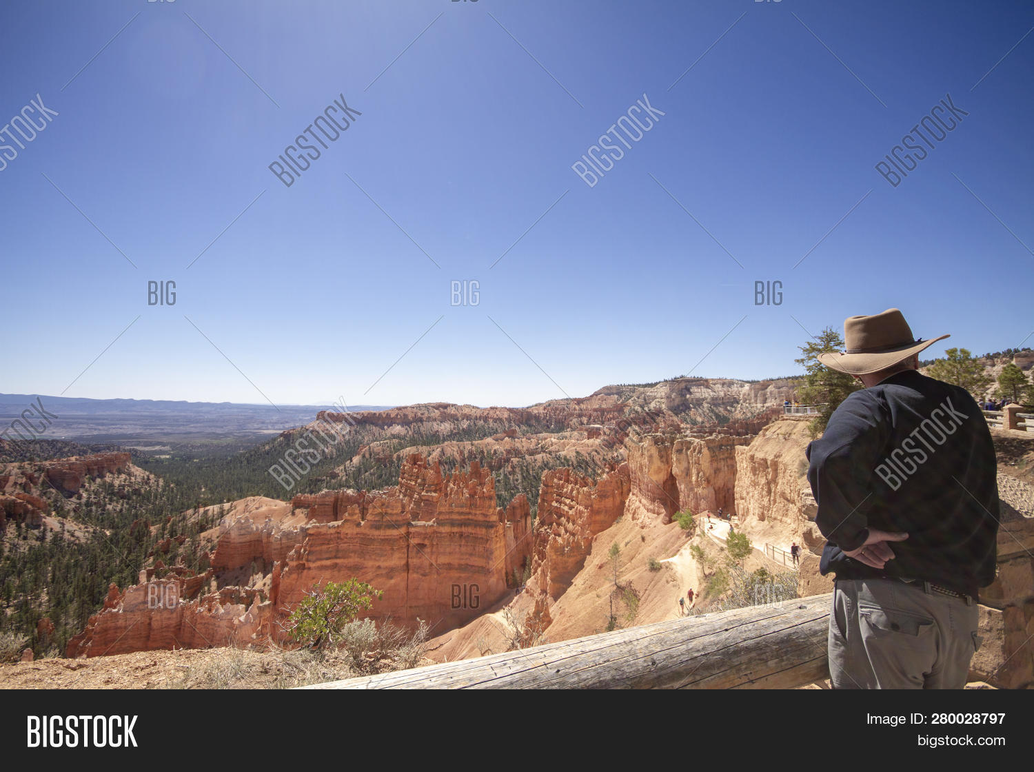 Old Man Standing Image & Photo (Free Trial) | Bigstock