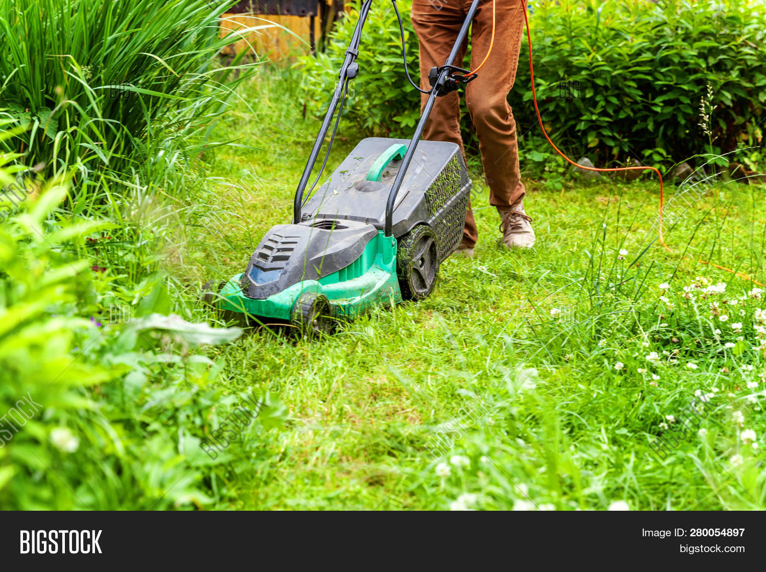 Man Cutting Green Image & Photo (Free Trial) | Bigstock