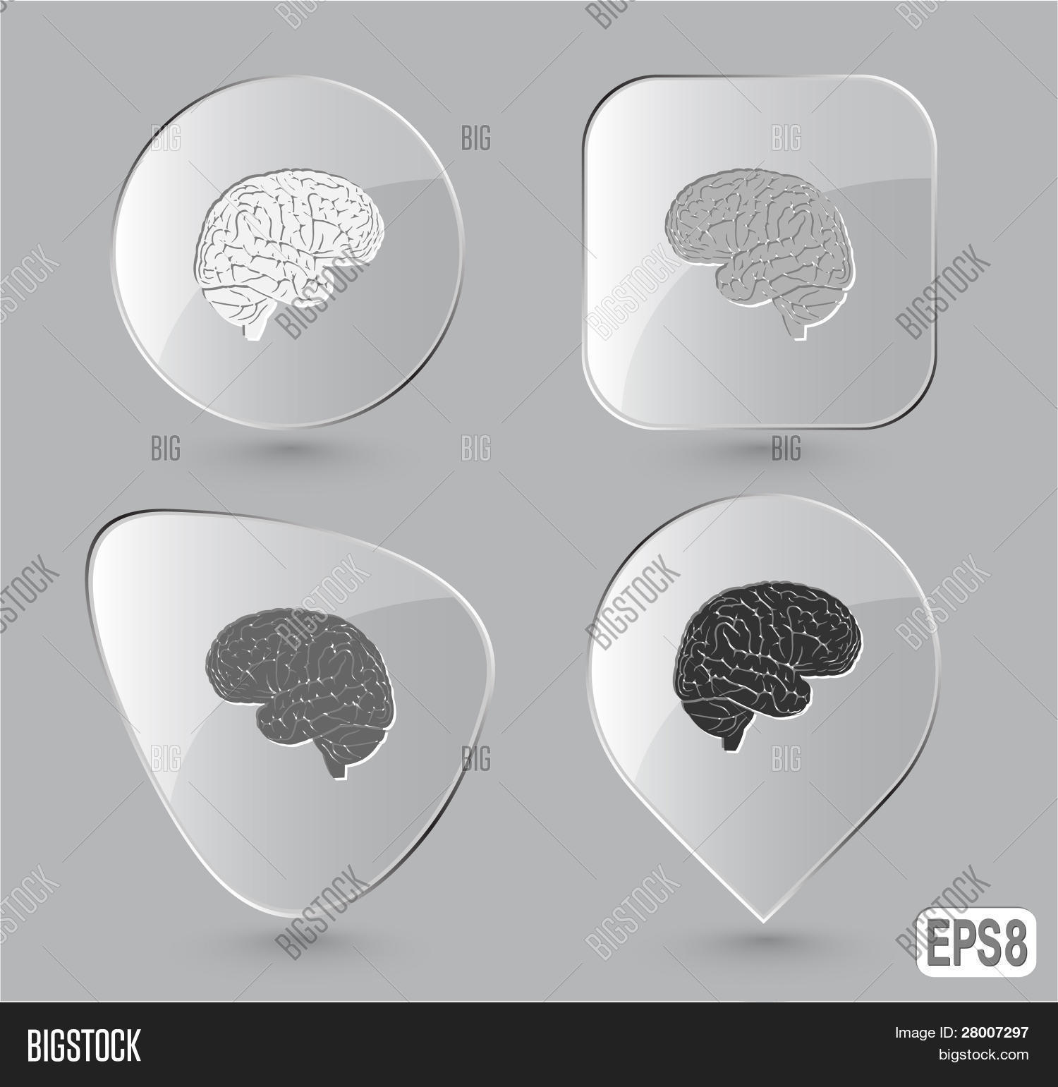Brain. Glass Buttons Vector & Photo (Free Trial) | Bigstock