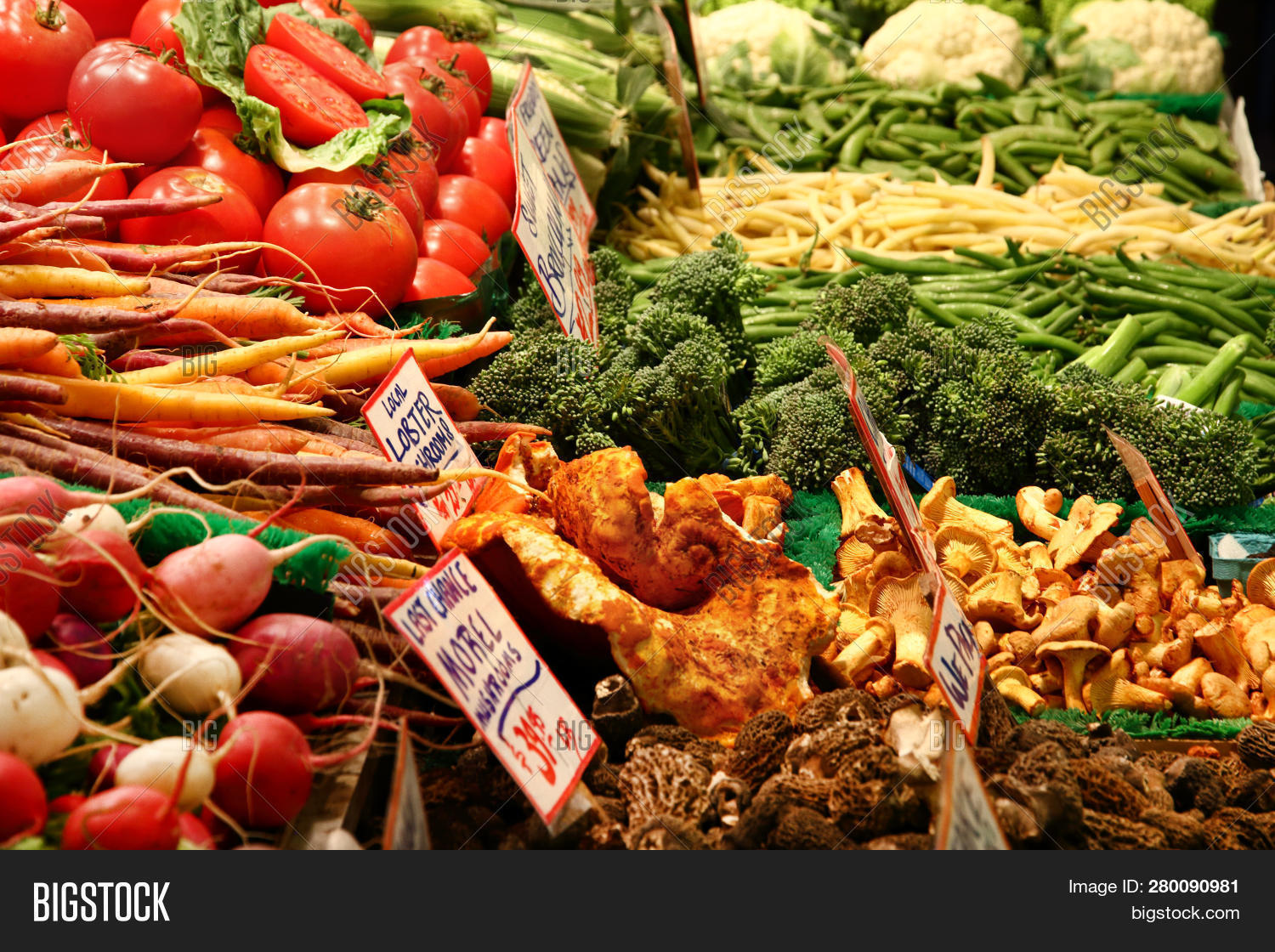 Closeup View Side Image & Photo (Free Trial) | Bigstock