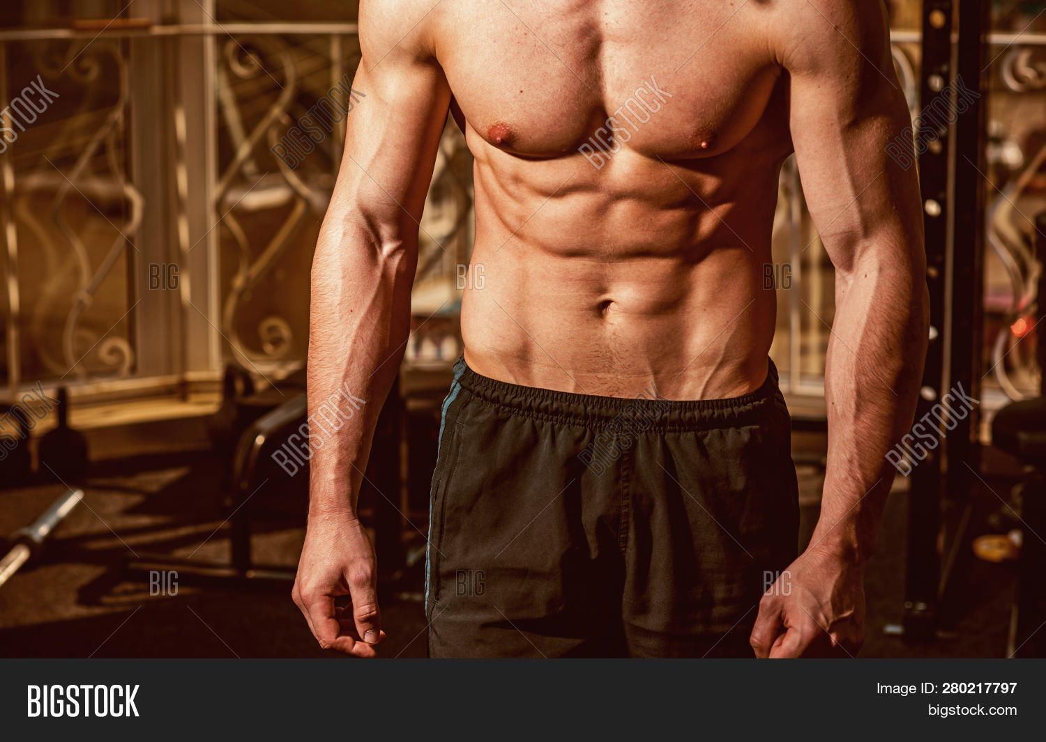 Imagen y foto Male Torso, (prueba gratis) | Bigstock