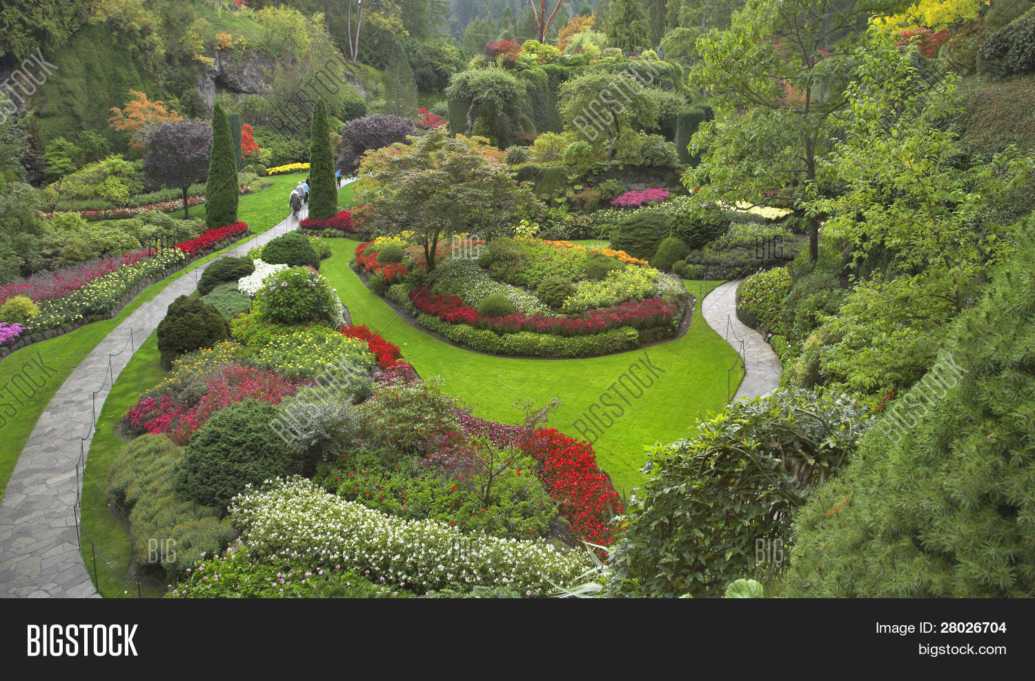 Phenomenally Beautiful Image & Photo (Free Trial) | Bigstock