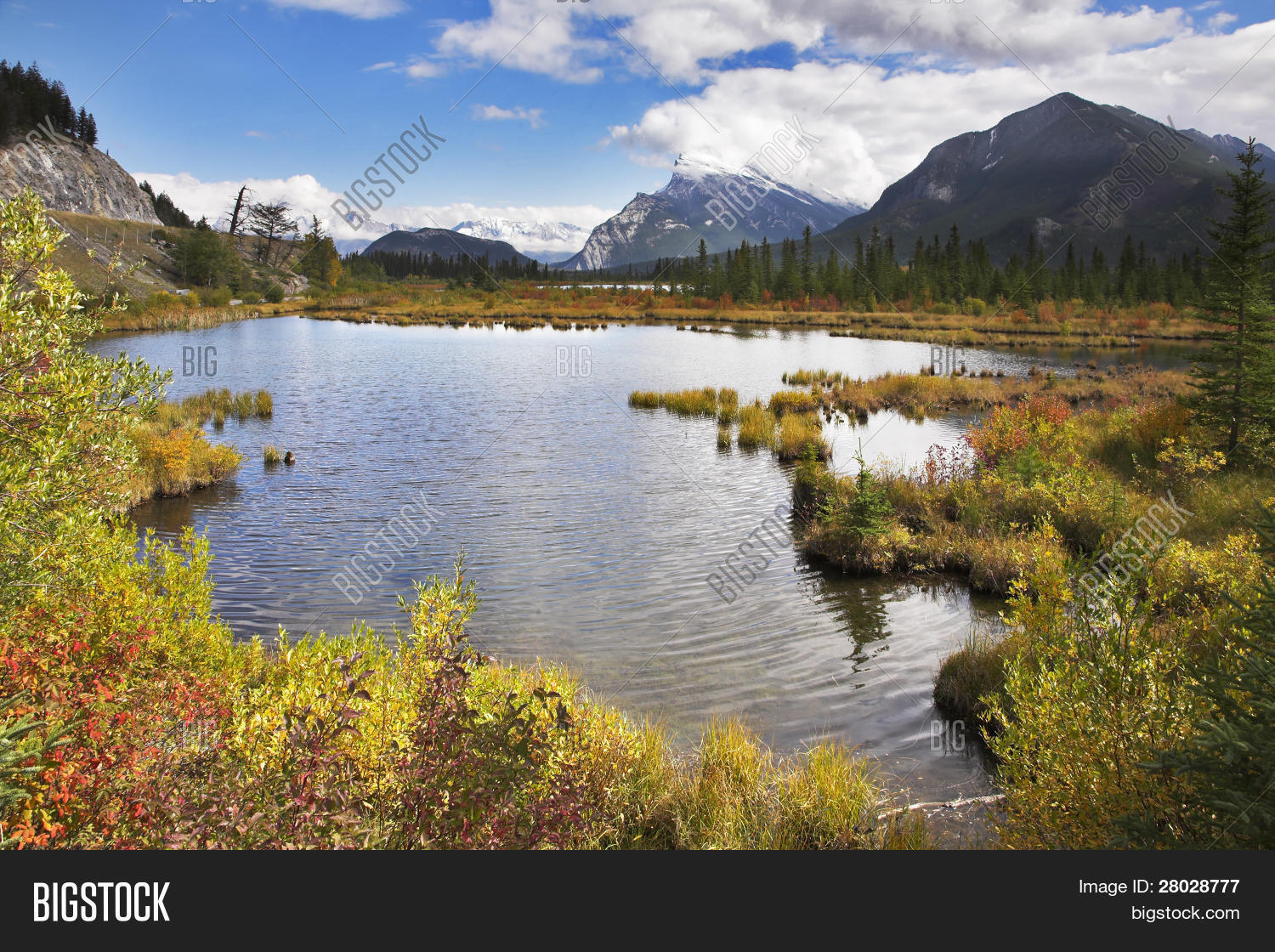 Cold Bog Multi- Image & Photo (Free Trial) | Bigstock