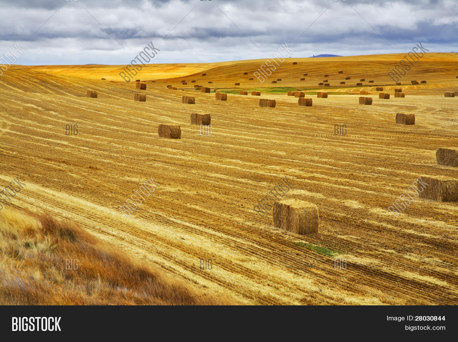 Huge Field State Image & Photo (Free Trial) | Bigstock