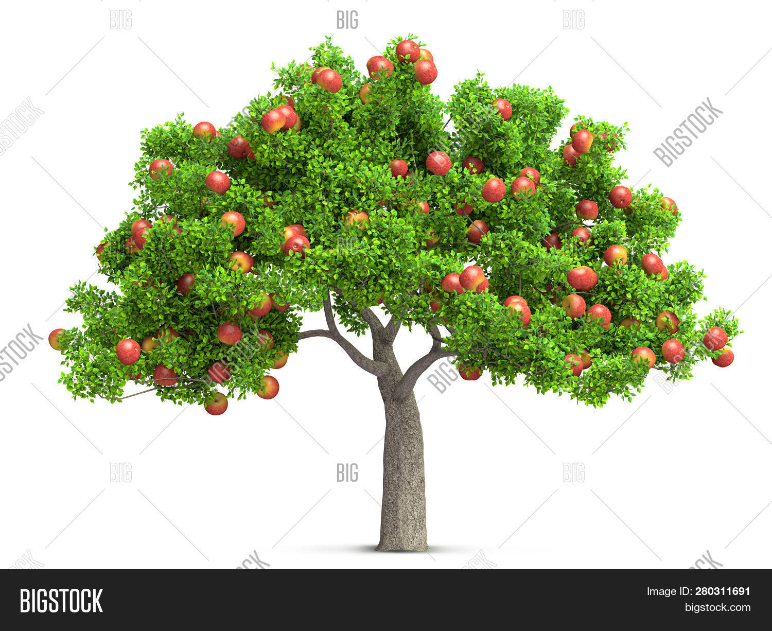 Red Apple Tree Image & Photo (Free Trial) | Bigstock