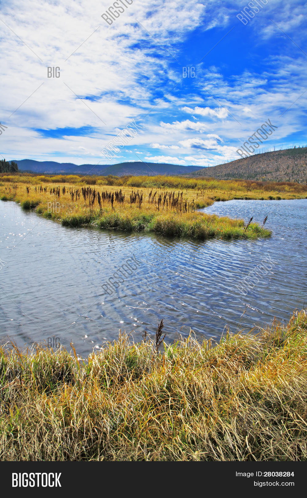 Plain, Superficial Image & Photo (Free Trial) | Bigstock