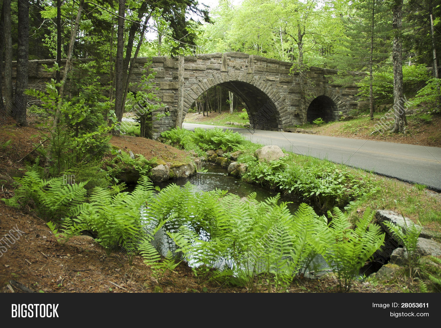 Stone Carriage Bridge Image & Photo (Free Trial) | Bigstock