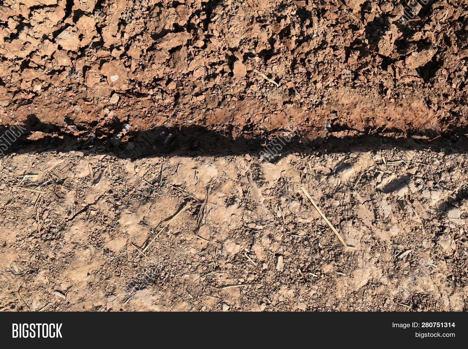 Straw Soil Lump Rice Image & Photo (Free Trial) | Bigstock