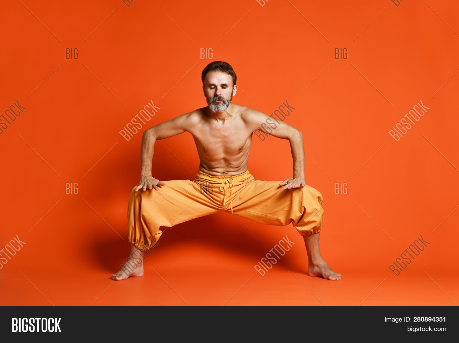 Yoga. Portrait Yogi Image & Photo (Free Trial) | Bigstock