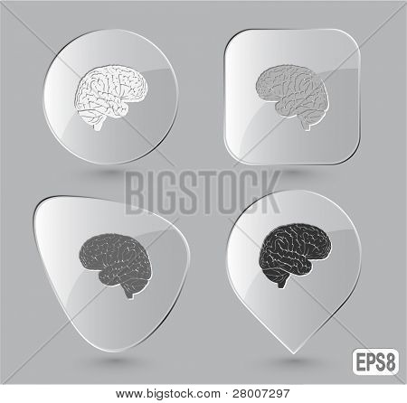 Brain. Glass Buttons Vector & Photo (Free Trial) | Bigstock