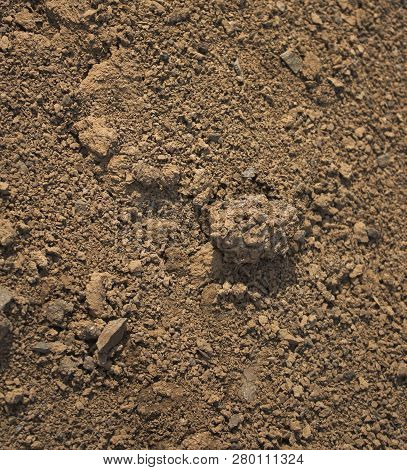 Clay Soil. Clay Earth Image & Photo (Free Trial) | Bigstock