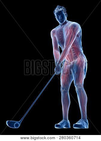3d Rendered Medically Image & Photo (Free Trial) | Bigstock