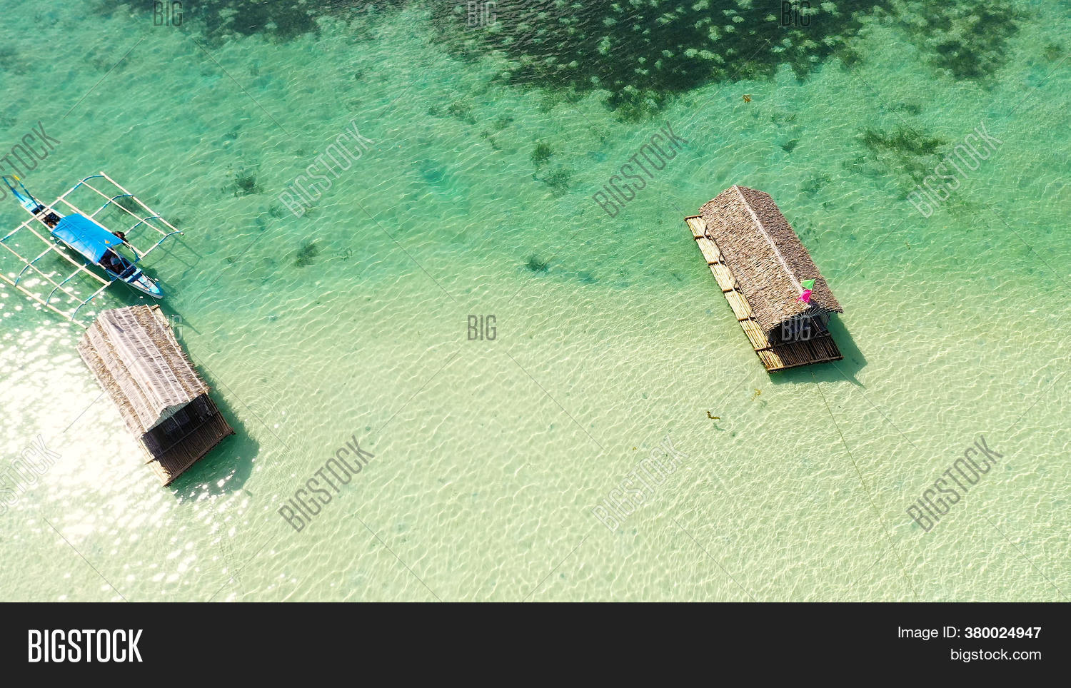 Floating Native Image & Photo (Free Trial) | Bigstock