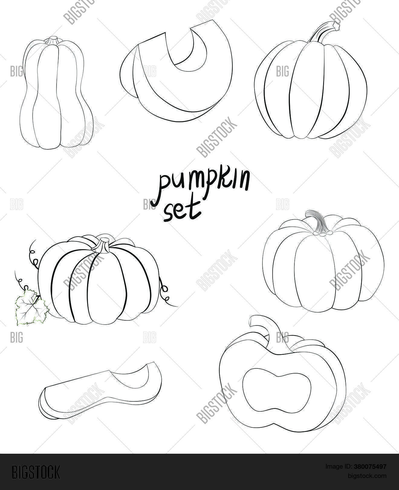 Line Art Pumpkin Vector & Photo (Free Trial) | Bigstock