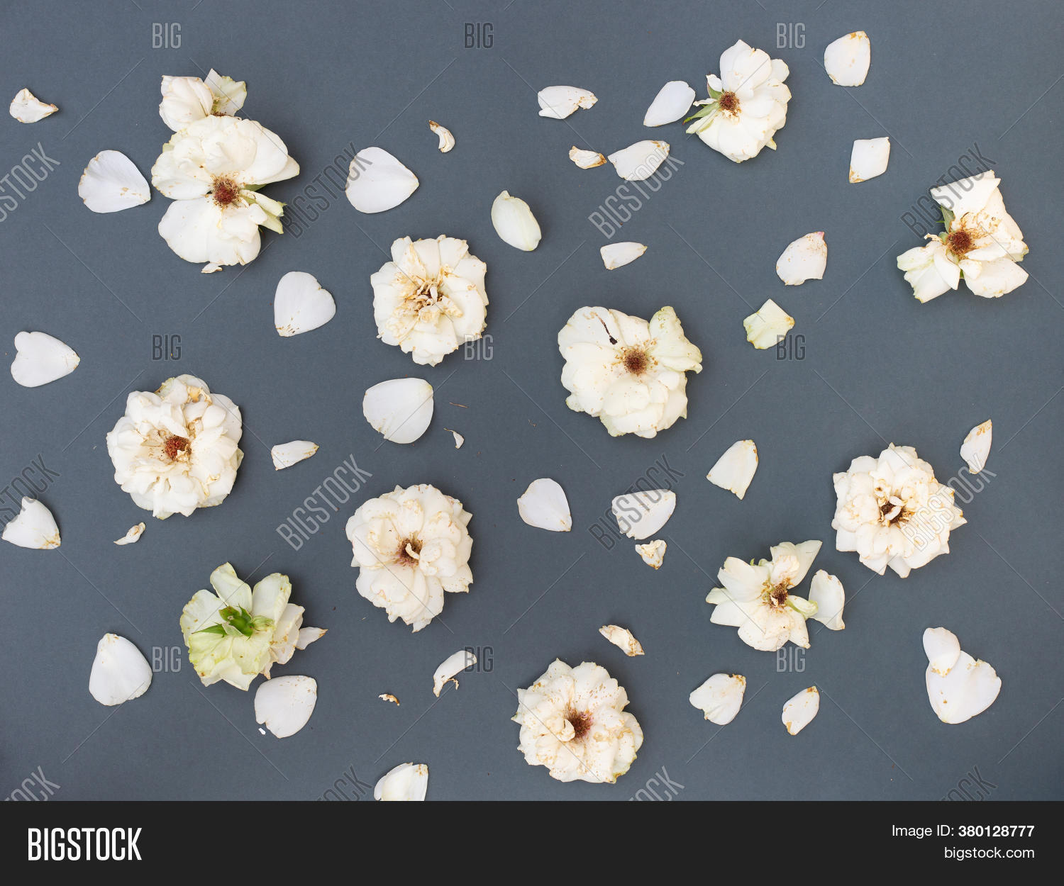 Flat Lay Pattern White Image & Photo (Free Trial) | Bigstock