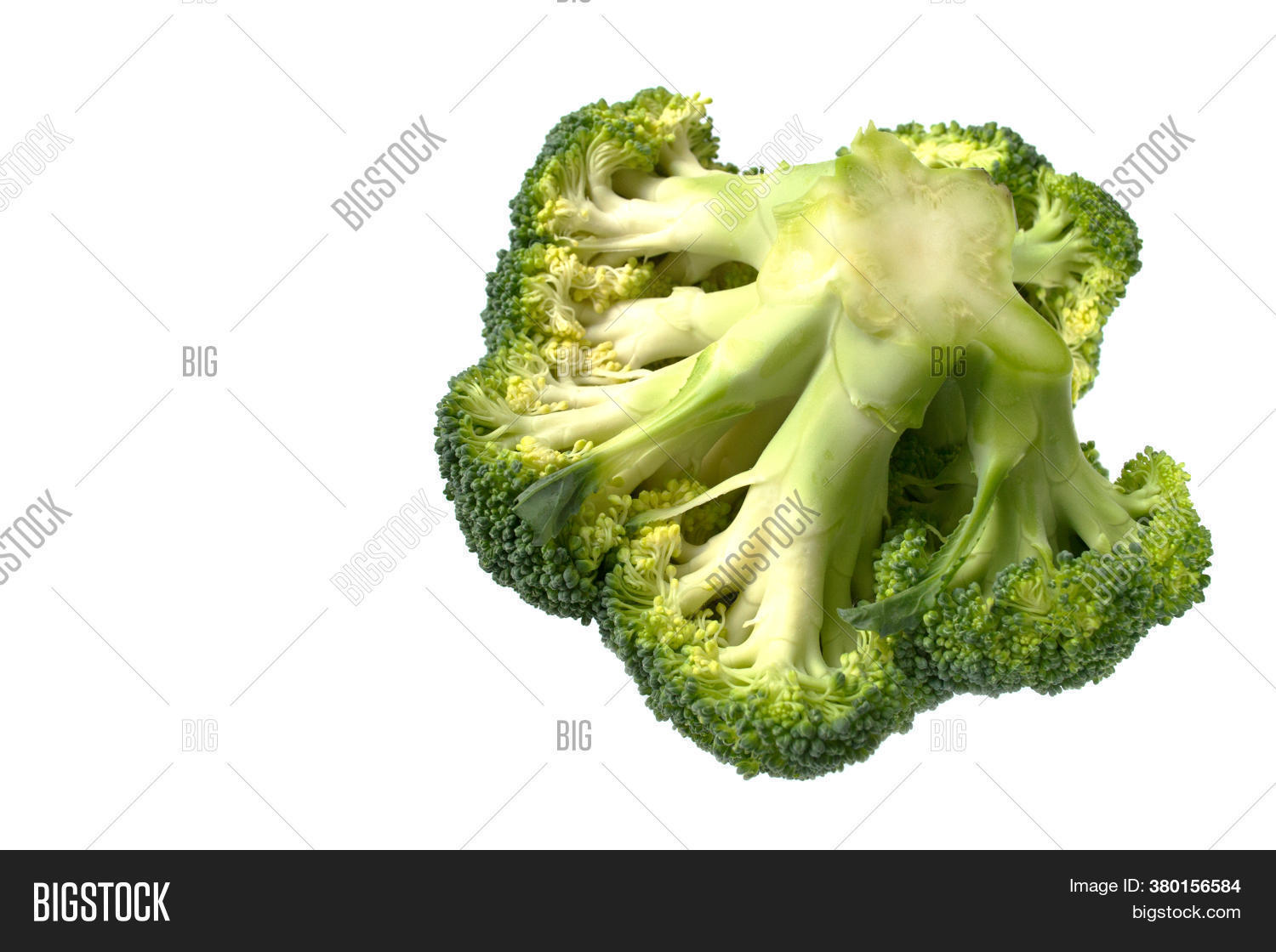 Fresh Green Broccoli Image & Photo (Free Trial) | Bigstock