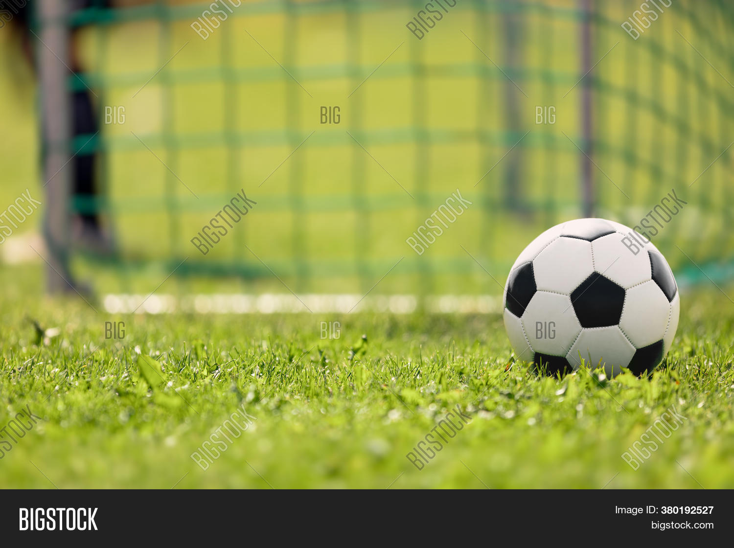 Soccer Ball On Grass Image & Photo (Free Trial) | Bigstock