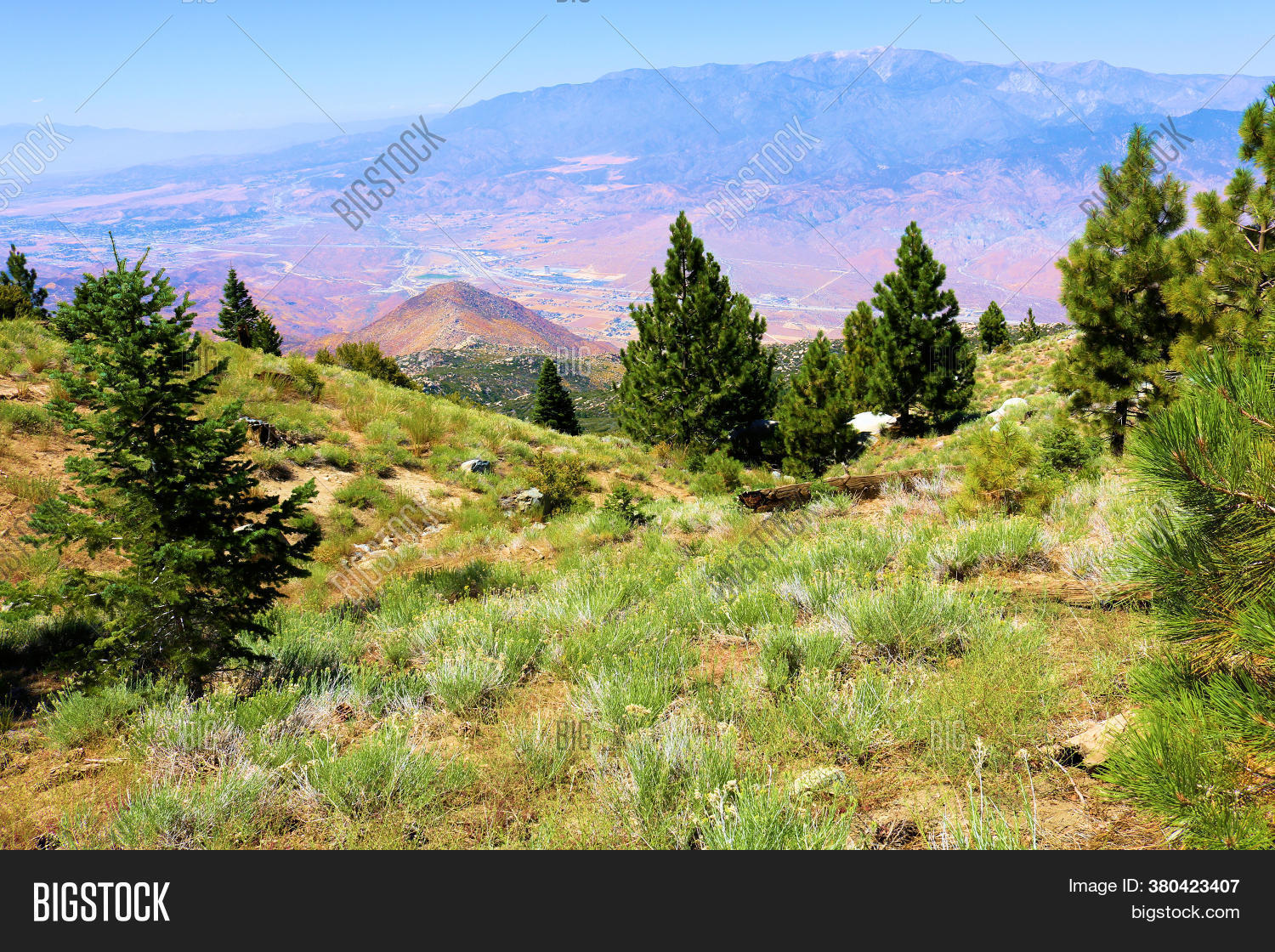 Lush Alpine Meadow Image & Photo (Free Trial) | Bigstock