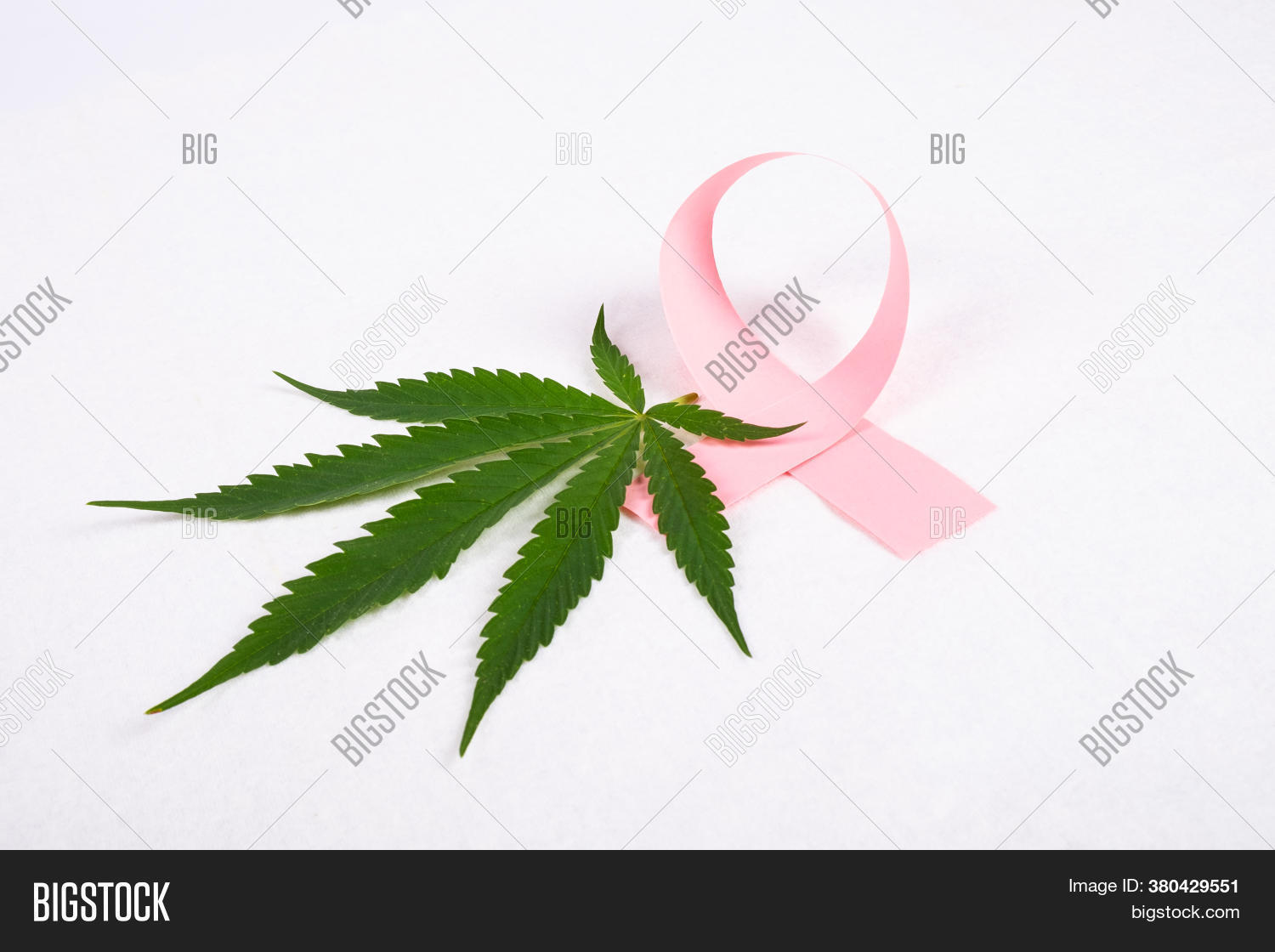Pink Ribbon Green Leaf Image & Photo (Free Trial) | Bigstock