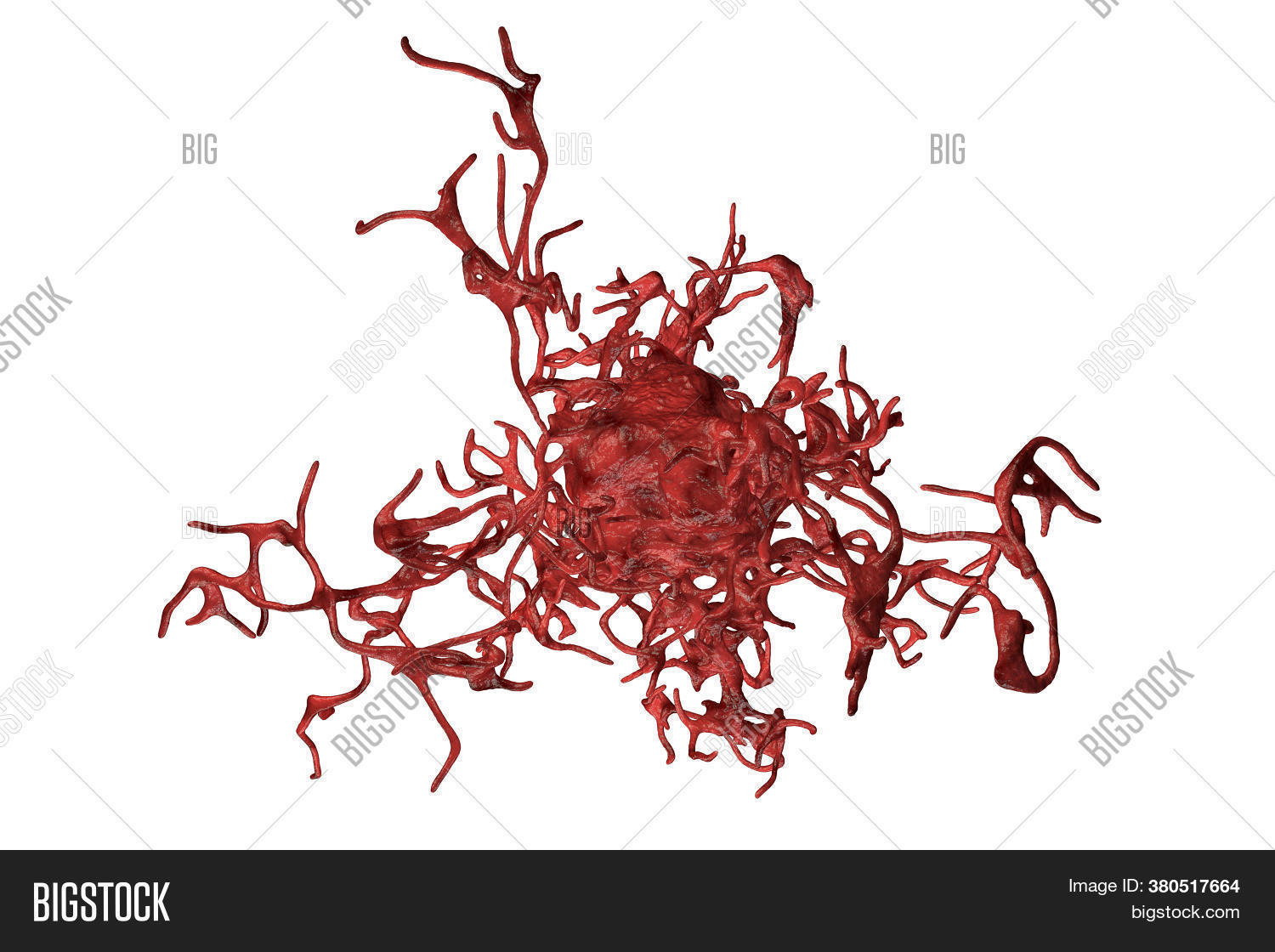 Human Parasitic Amoeba Image & Photo (Free Trial) | Bigstock