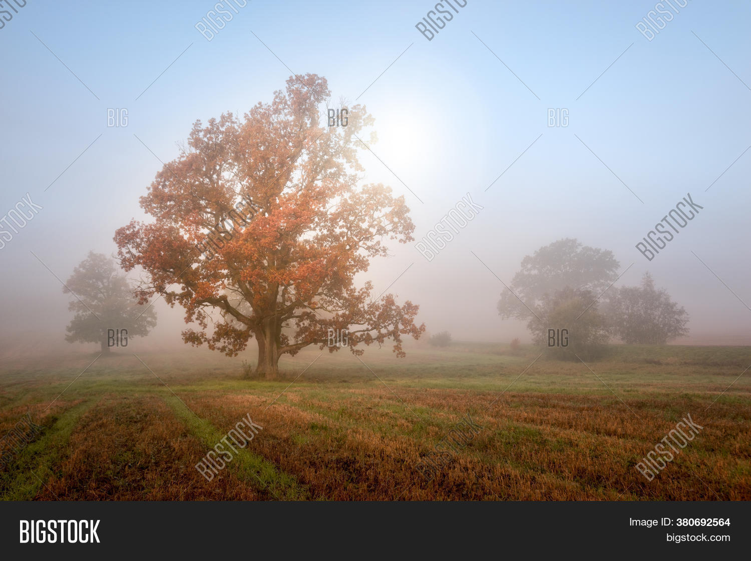 Autumn Morning Image & Photo (Free Trial) | Bigstock