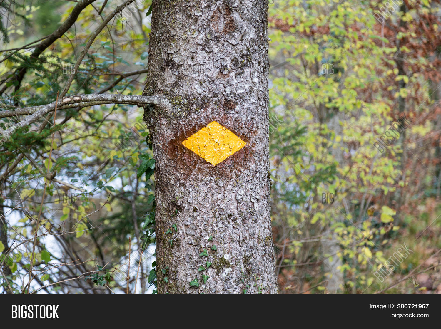 Yellow Hiking Trail Image & Photo (Free Trial) | Bigstock