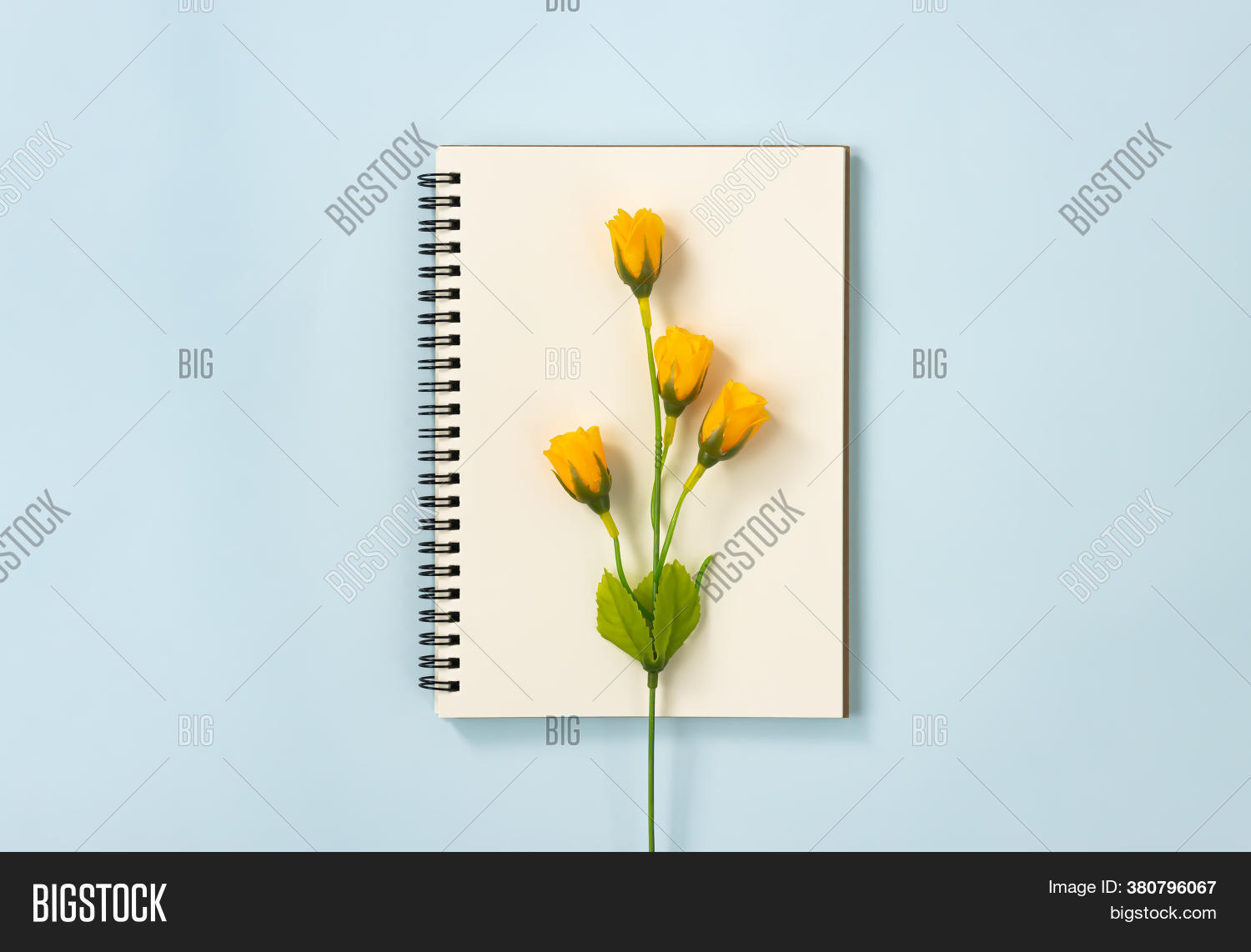 Spiral Notebook Spring Image & Photo (Free Trial) | Bigstock