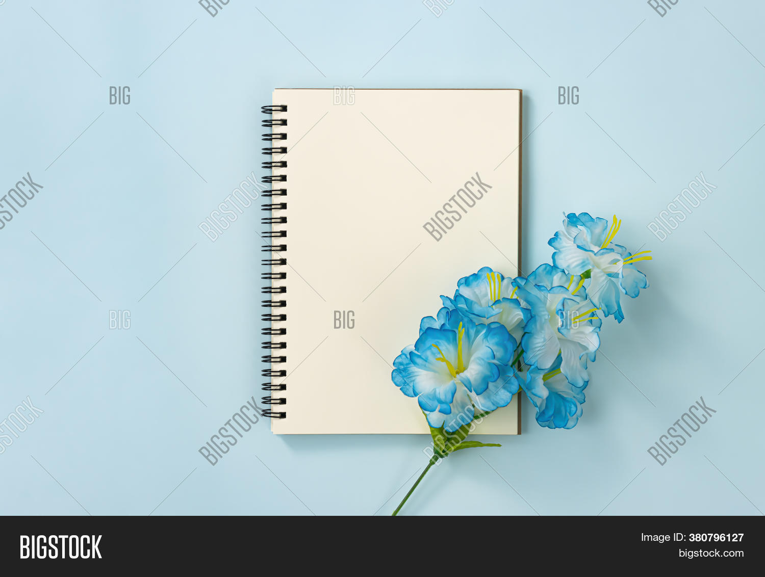 Spiral Notebook Spring Image & Photo (Free Trial) | Bigstock