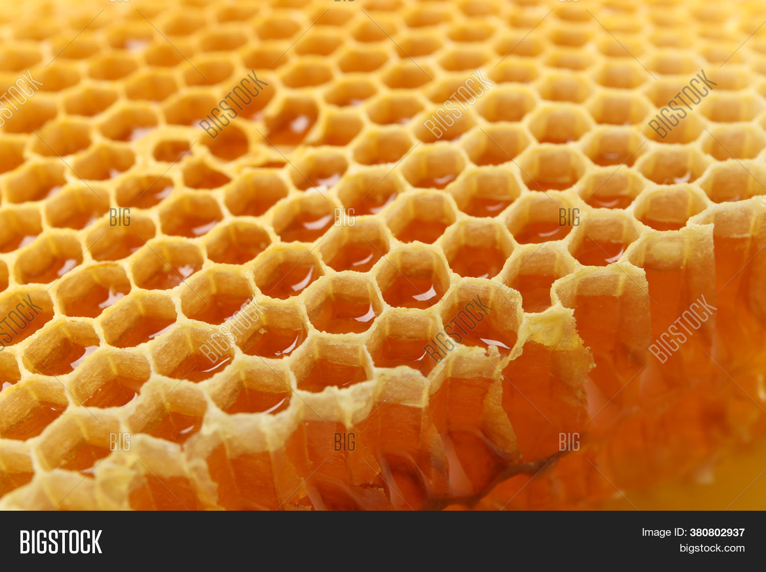 Fresh Honeycomb On Image & Photo (Free Trial) | Bigstock