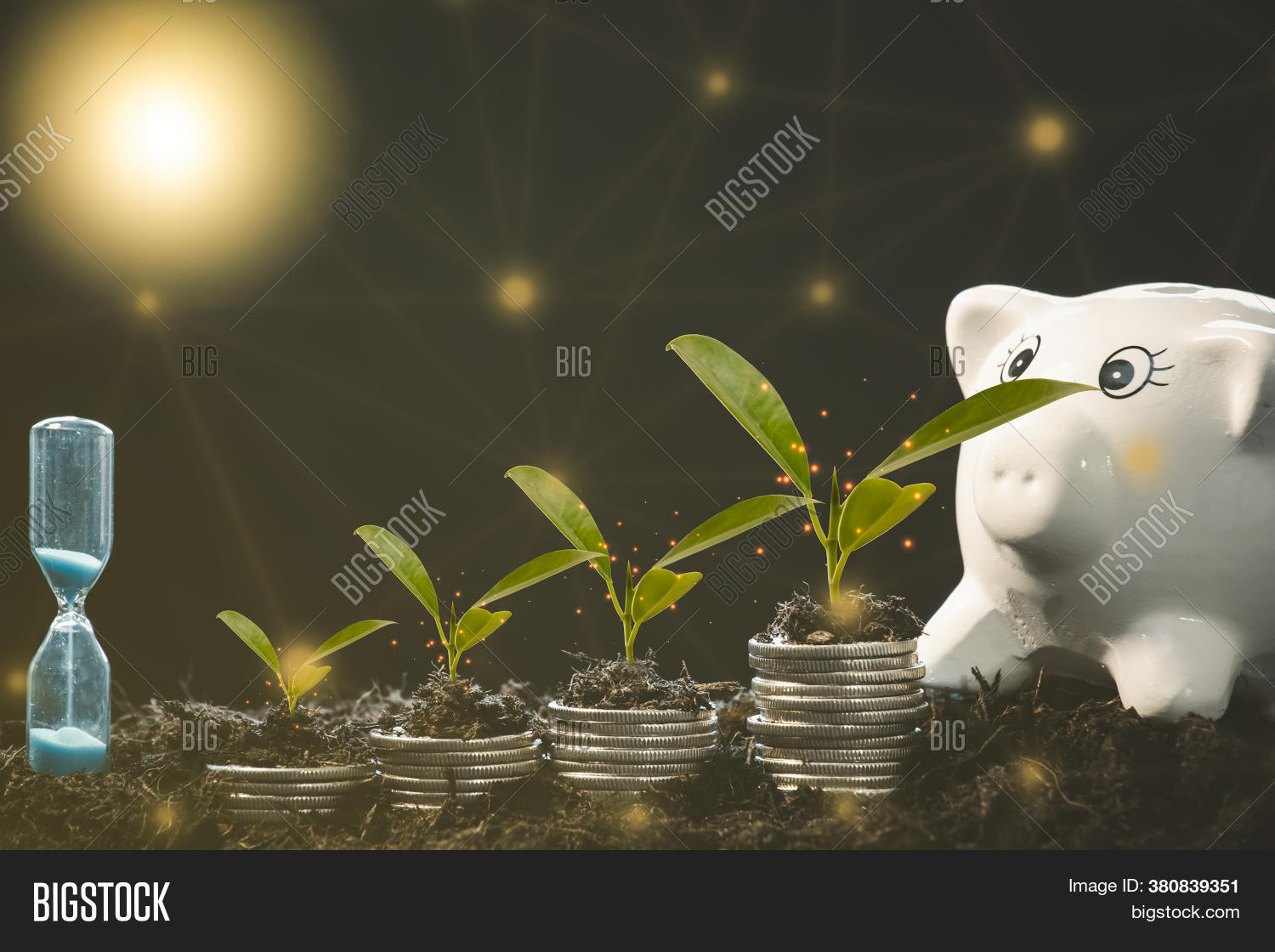 Growing Money Plant On Image & Photo (Free Trial) | Bigstock