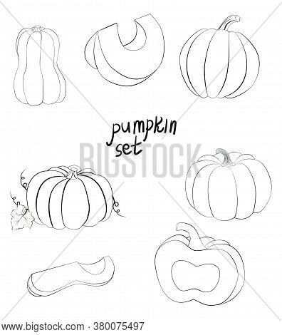 Line Art Pumpkin Vector & Photo (Free Trial) | Bigstock