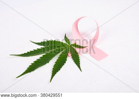 Pink Ribbon Green Leaf Image & Photo (Free Trial) | Bigstock