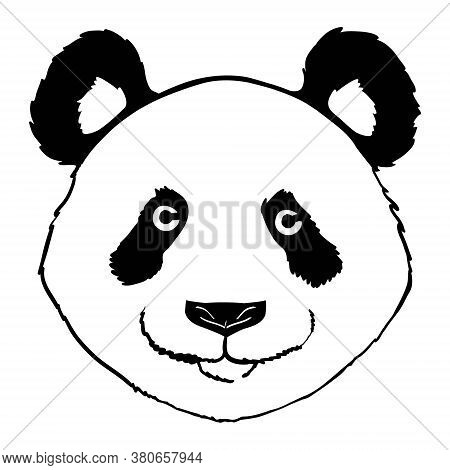 Panda Front View Images, Illustrations & Vectors (Free) - Bigstock