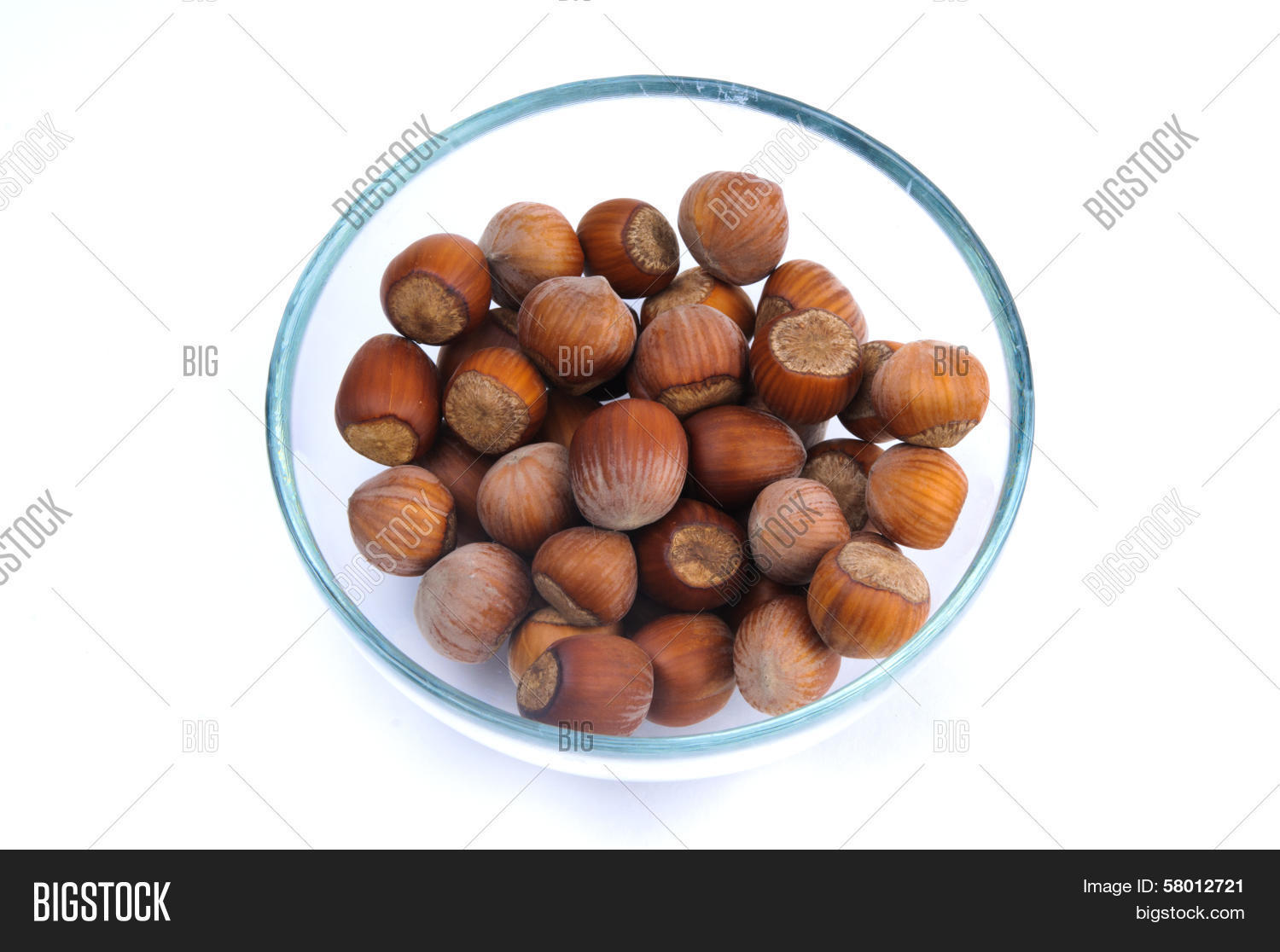 Hazelnuts Shell Image & Photo (Free Trial) | Bigstock