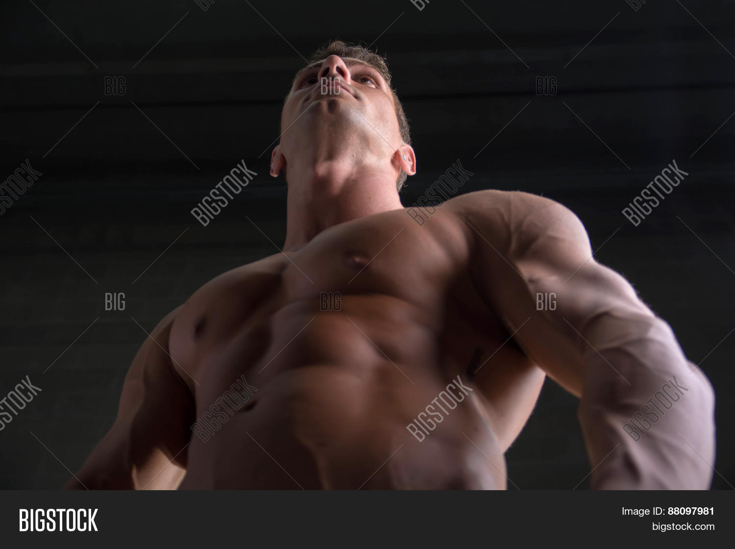 Low Angle Shot Image & Photo (Free Trial) | Bigstock