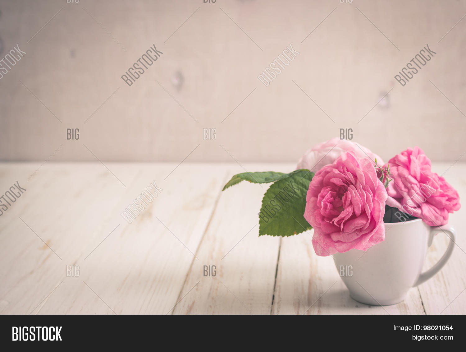 Pink Tea Roses On Image & Photo (Free Trial) | Bigstock