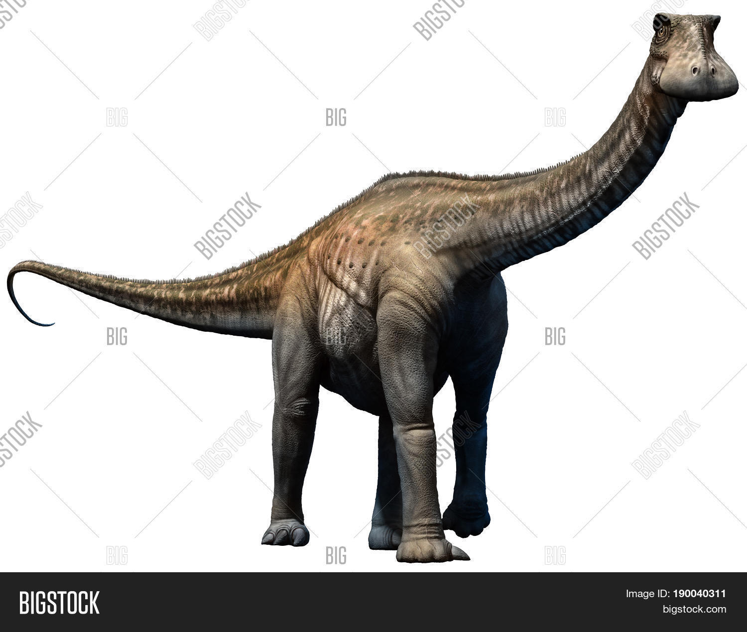 Nigersaurus Cretaceous Image & Photo (Free Trial) | Bigstock