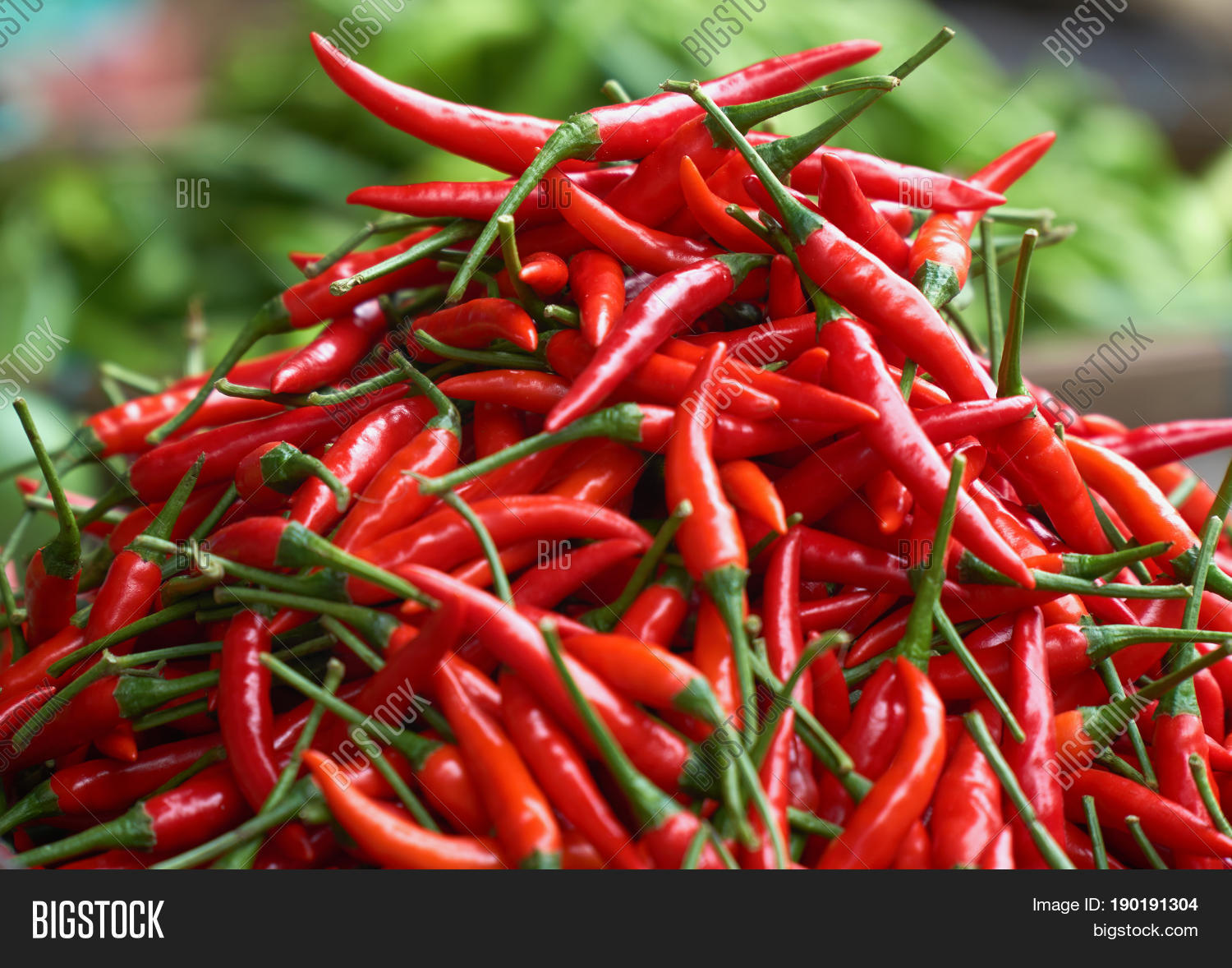 Fresh Red Chili Image & Photo (Free Trial) | Bigstock