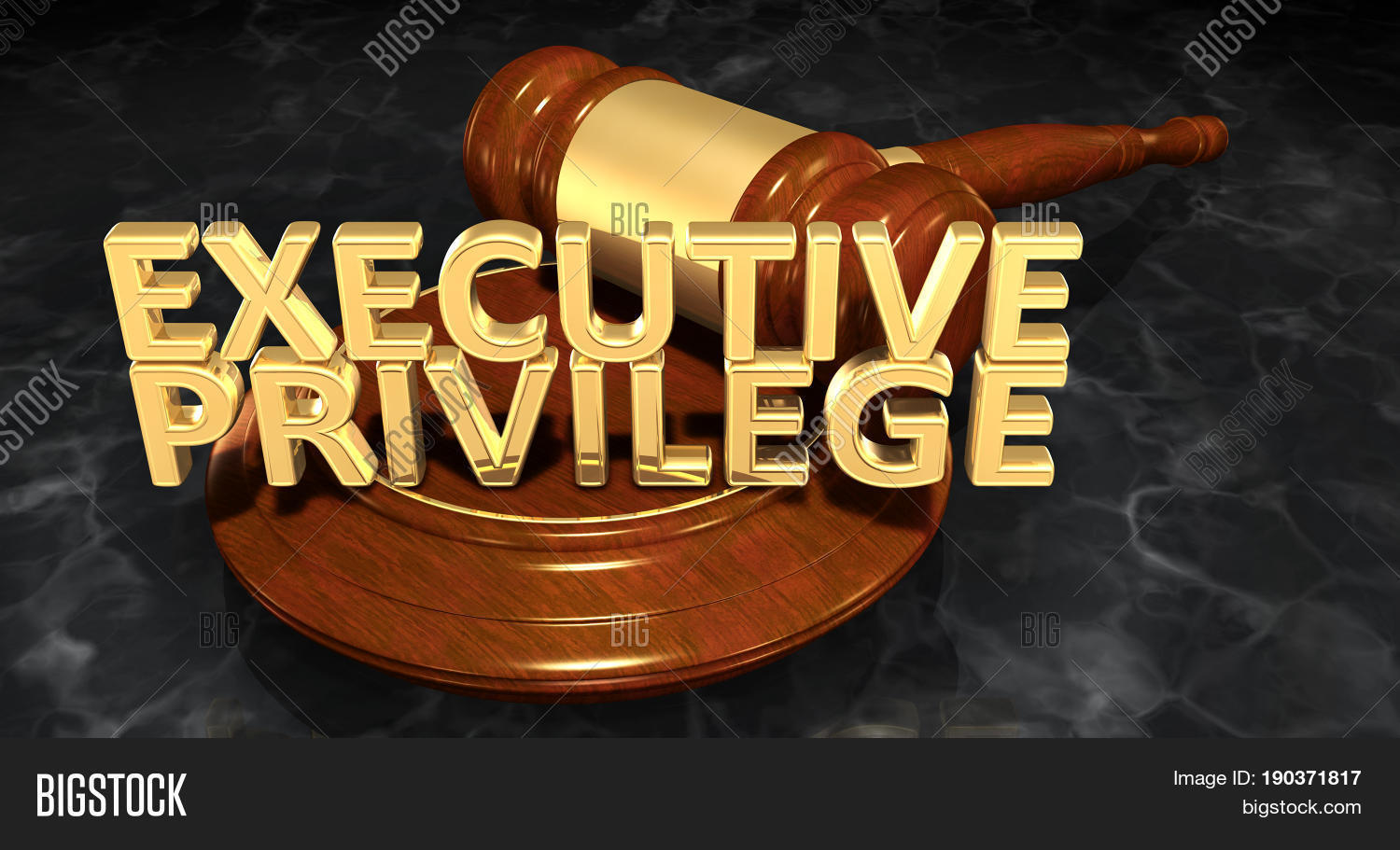 Executive Privilege Image & Photo (Free Trial) | Bigstock